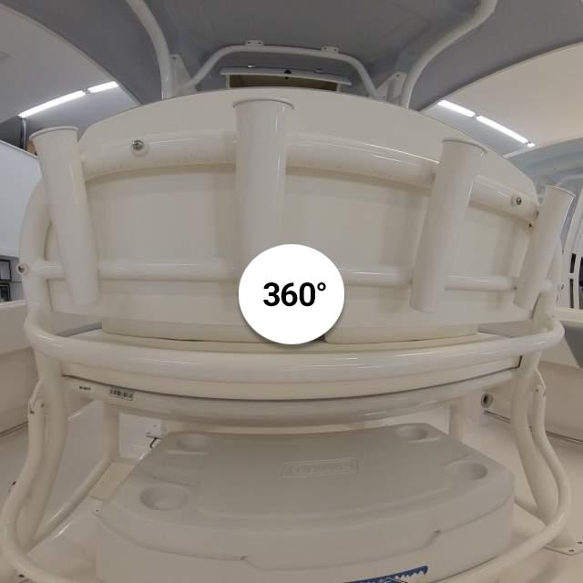 Robalo R242 Cockpit