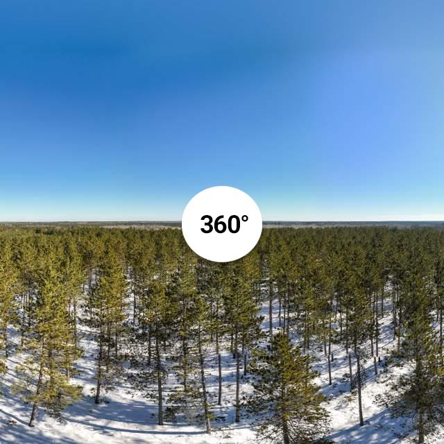 Cleared Area