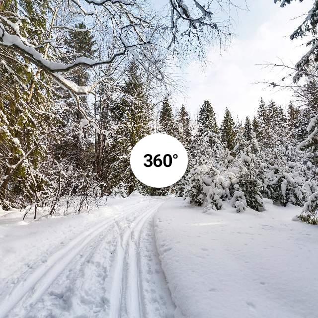 Perm. Spring. March 8.