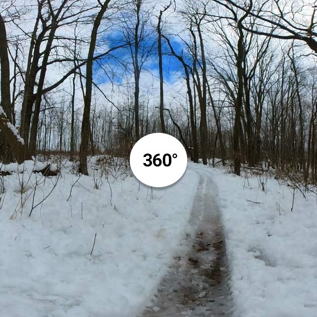 c420 Ulfa Tree Img 20230310_115701_00_029