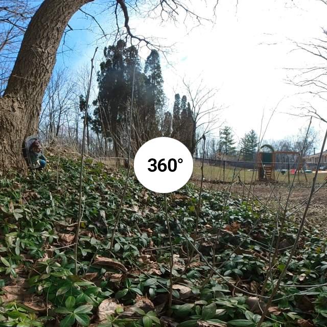 Front of Elmer Tree Commando Hill Img 20230321_123701_00_059