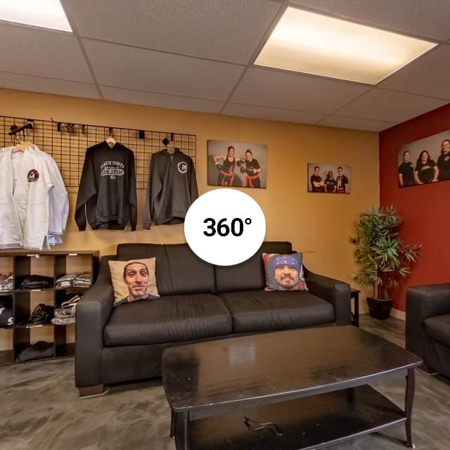 360 Defense Staff Pillows