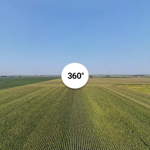 2023 Scott Reel Corn Plot