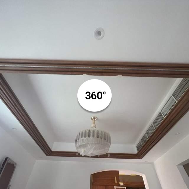 Celing -main living area